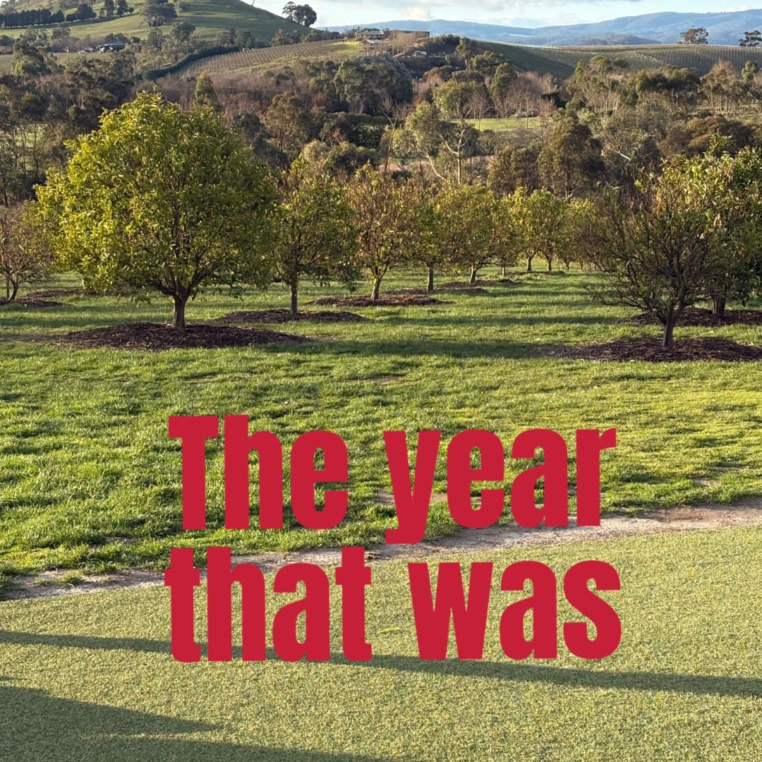 The year that was - Living the Life God Intended