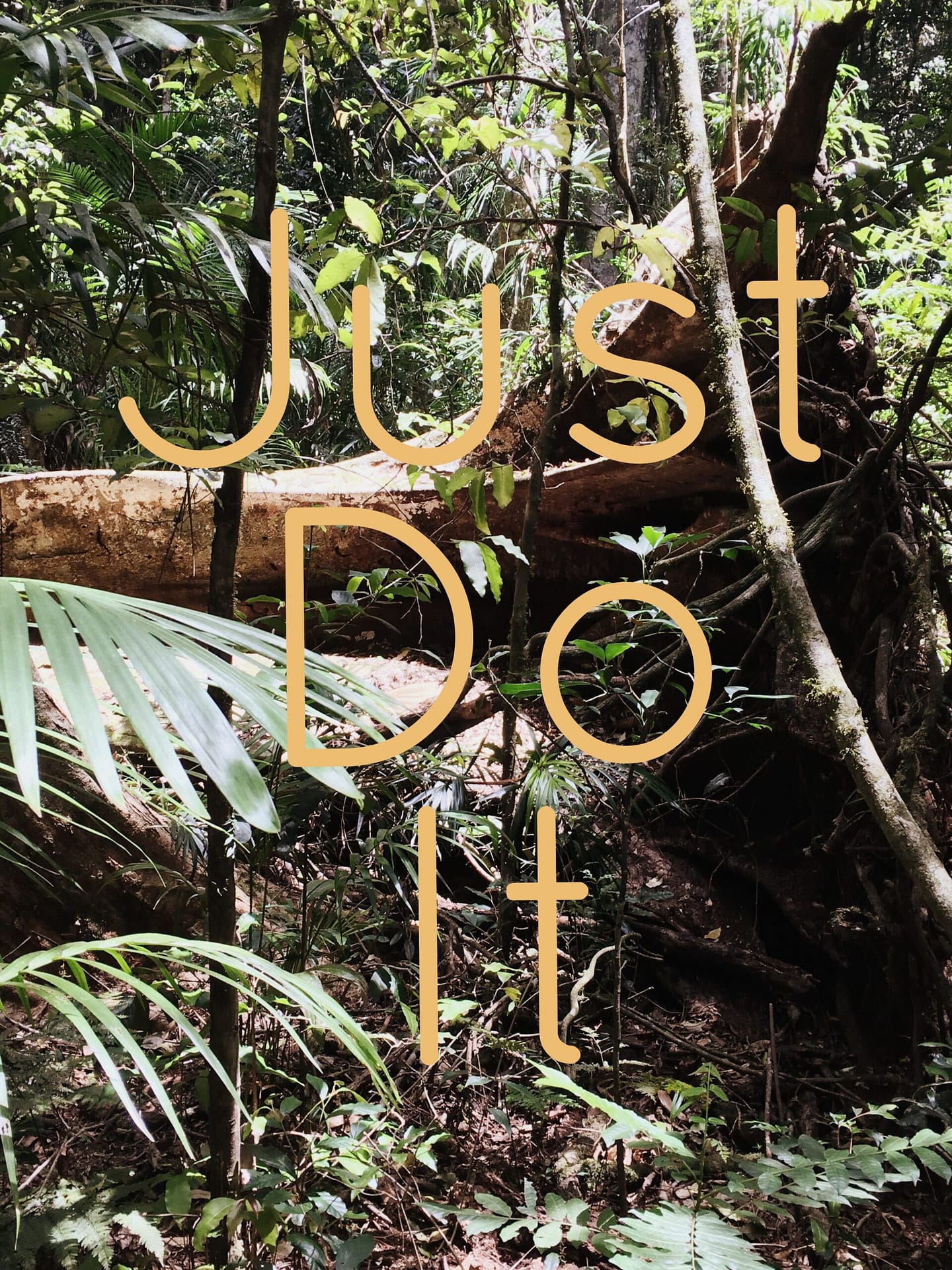 Just do it - Living the Life God Intended