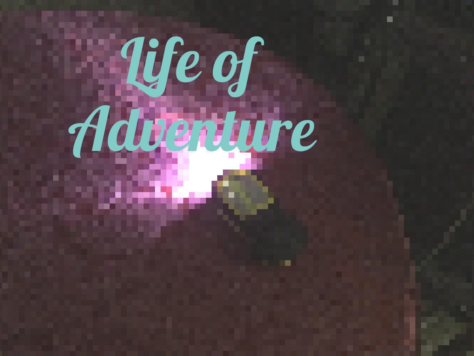 Life of adventure - Living the Life God Intended