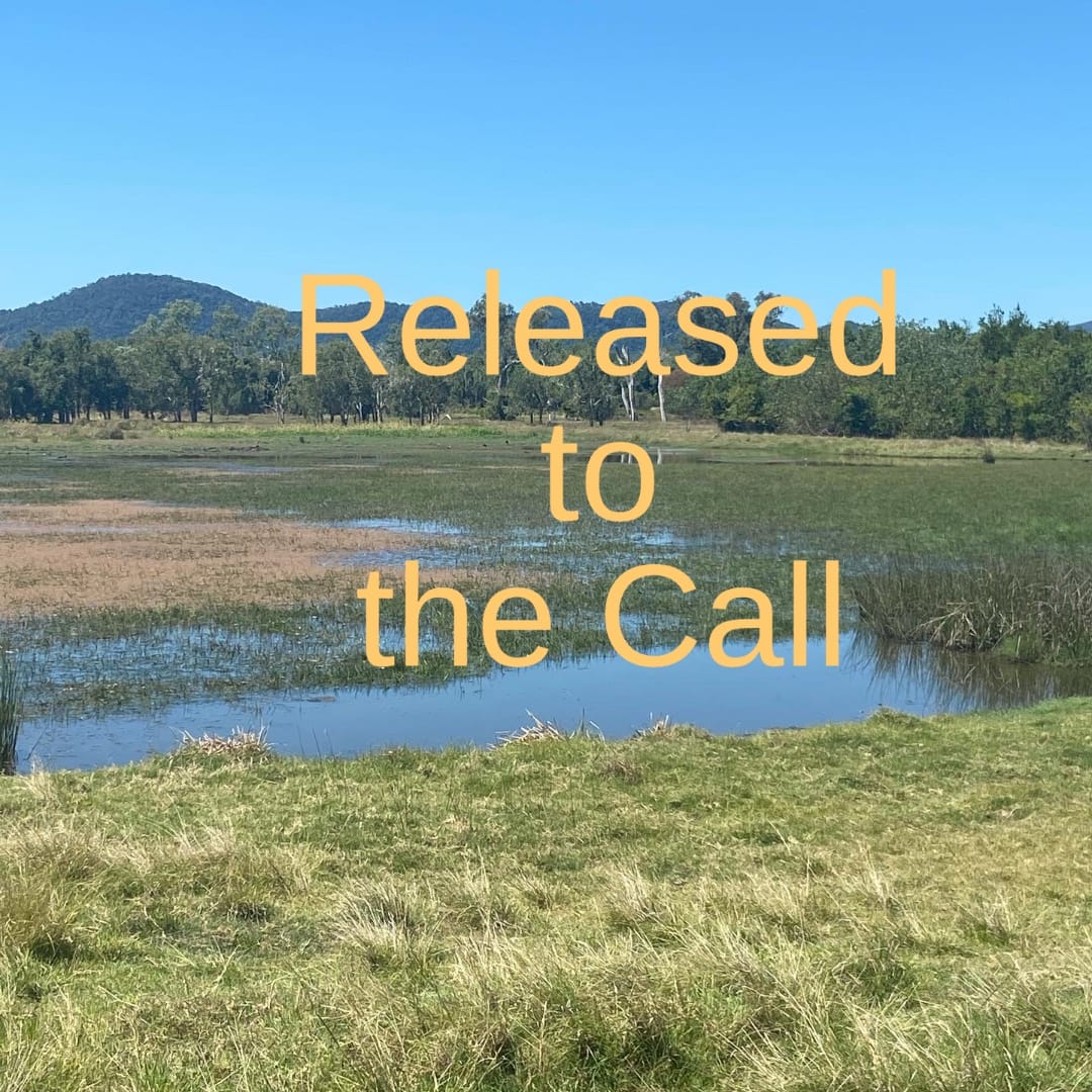 Released to the call - Living the Life God Intended
