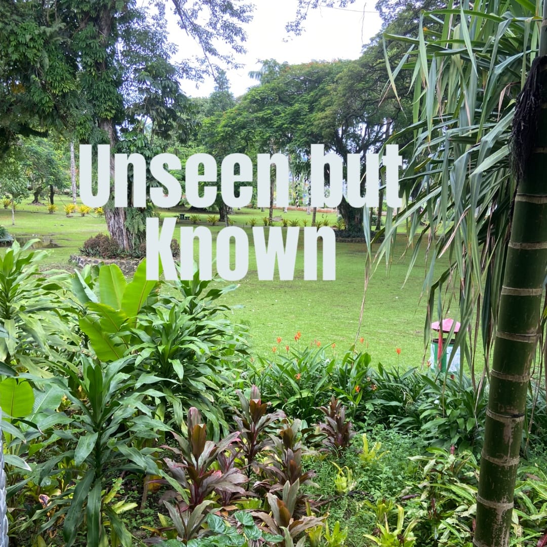 Unseen but known - Living the Life God Intended