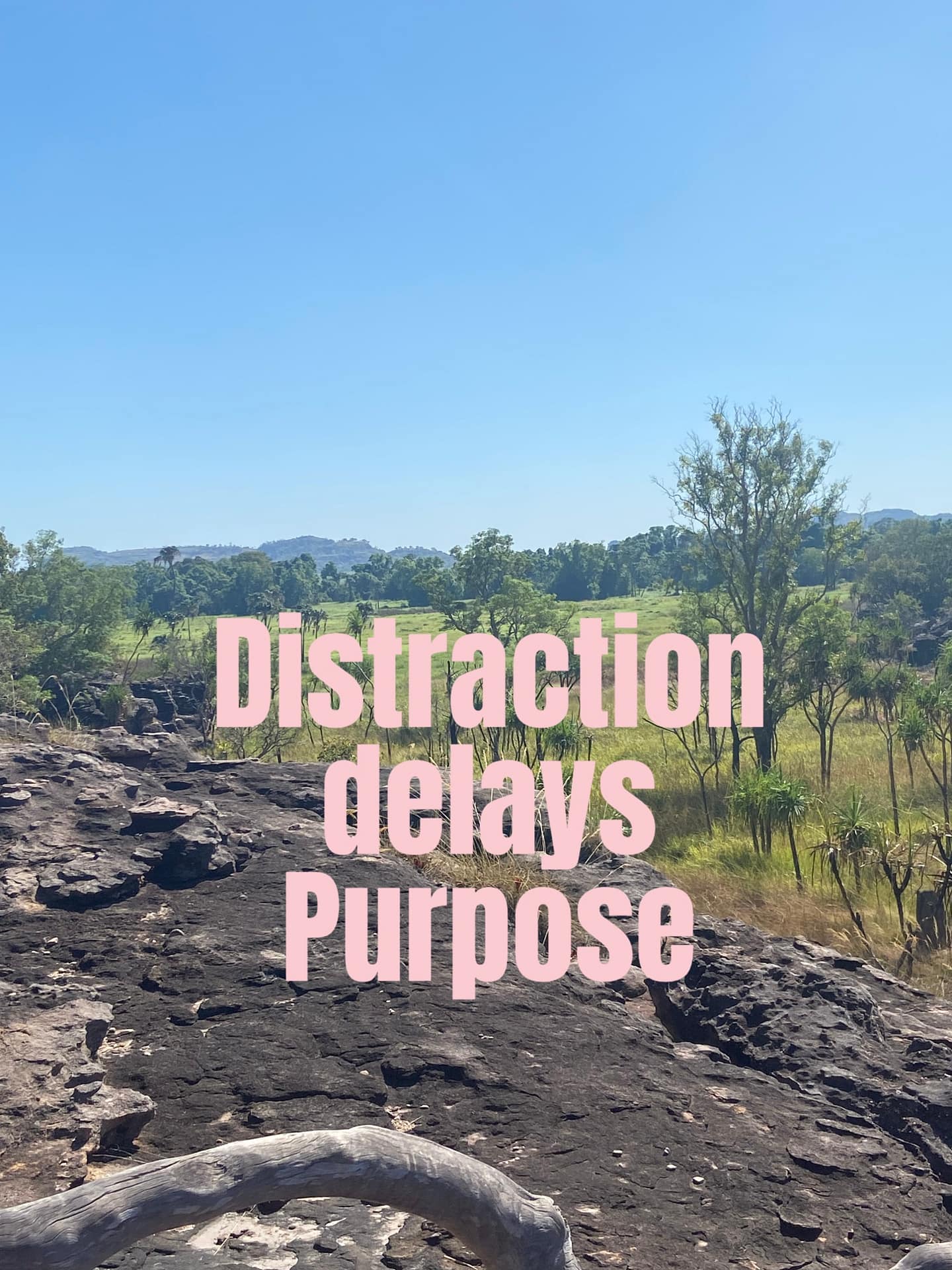 Distraction delays purpose - Living the Life God Intended